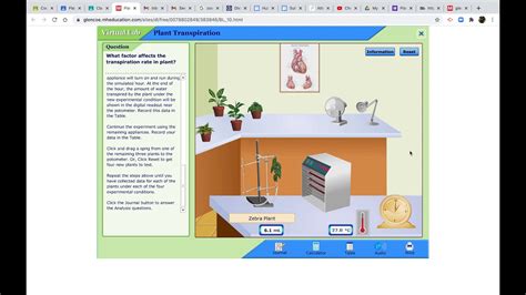 Plant Transpiration Virtual Lab Video Using Glencoe Mheducation