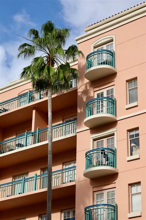 Современный жилой дом в розовых тонах с пальмой · Бесплатные стоковые фото