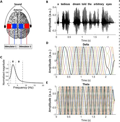 Figure 1 From Transcranial Alternating Current Stimulation In The Theta Band But Not In The