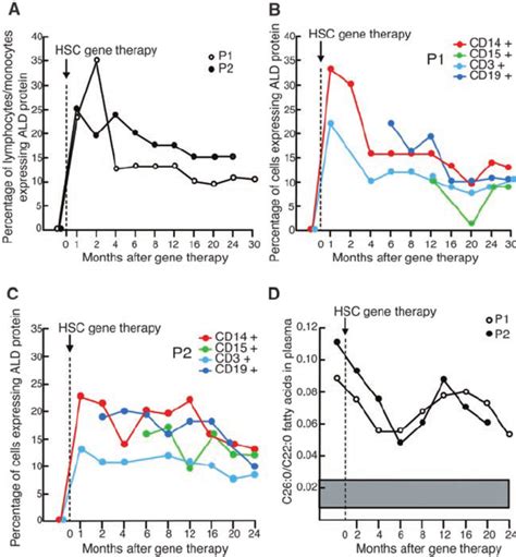 Gene Marking In P1 And P2 After Hsc Gene Therapy A Percentage Of