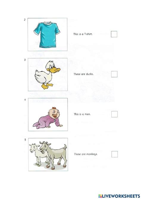 Skill Builder S… Free Interactive Worksheets 3781638