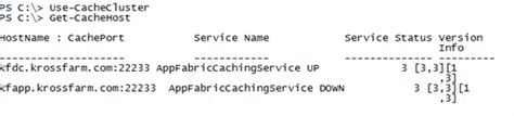 SharePoint Distributed Cache Error ERRS ES