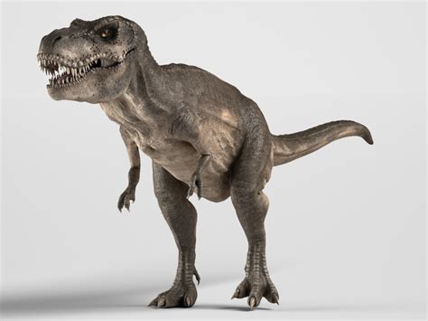 Trex 3d Obj