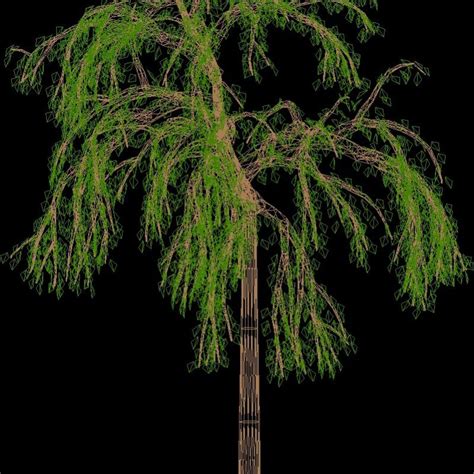 Tree D DWG Model For AutoCAD Designs CAD