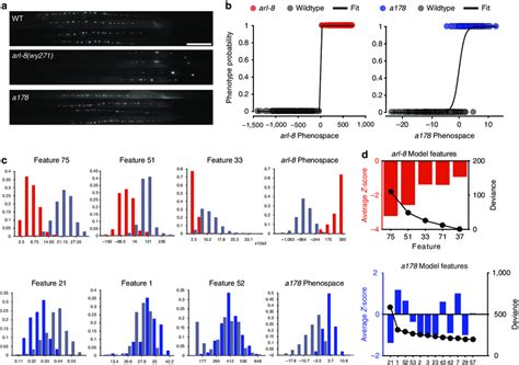 Phenotypic Differences Between Populations Are Revealed By Logistic