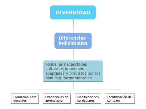 La Diversidad Mapa Conceptual Gambaran Picture Riset