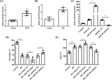 Microrna‐494 Regulates High Glucose‐induced Cardiomyocyte Apoptosis And