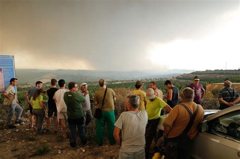 España Las Imágenes Del Incendio Descontrolado Que Arrasa Con 6500