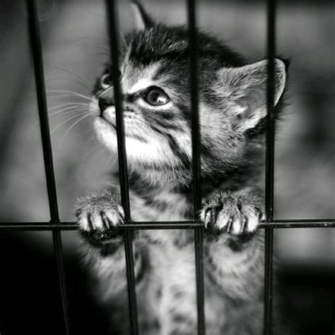 Anna12 Anna Gebert Twitter