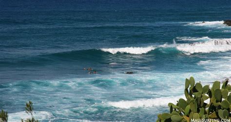 Maui Surf Spots Where Can I Learn To Surf In Maui Beginner To Expert