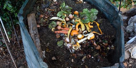 Guide For Winter Composting Create The Perfect Cold Weather Compost