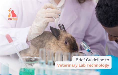 All You Need To Know About Veterinary Lab Technology A Comprehensive Guide