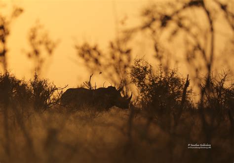 Jonathan Goldenberg Photography Home Facebook