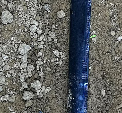 Weed Detection Object Detection Model By Yeesiang