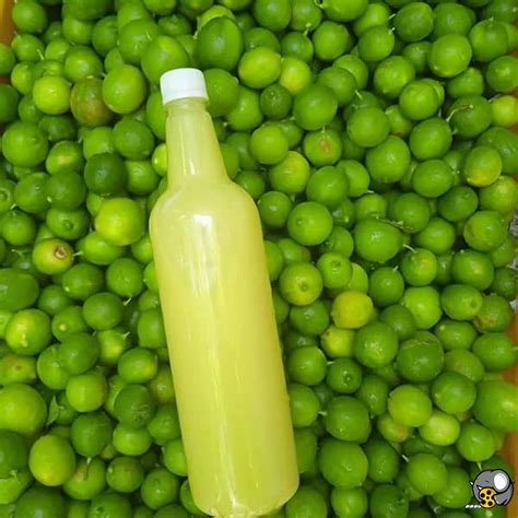 طرز تهیه آبلیمو طبیعی خانگی فیلو