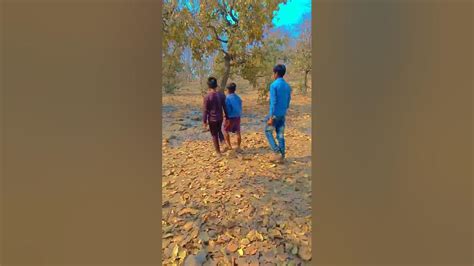 15 मार्च 2025 Youtube