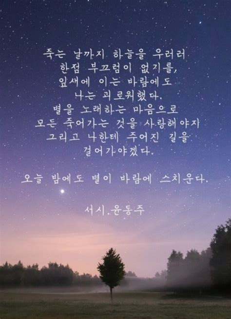 서시 윤동주~ ♡ 🍀🍀🍀🍀🍀 뉴스트림