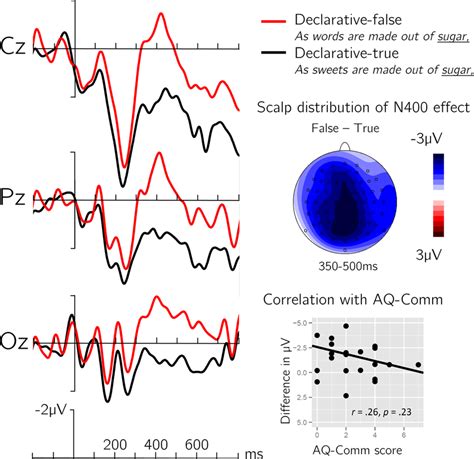 Erp Results Of Declarative Control Clauses Left Side Grand Average Download Scientific
