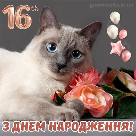 Картинки і листівки з днем народження 16 років дівчинці