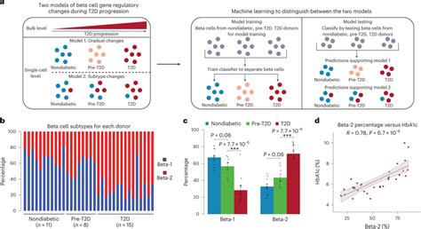 Machine Learning Identifies Two Beta Cell Subtypes With Differential Download Scientific