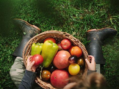 2 Fruit And 3 Vegetable Servings The Key To A Longer Life