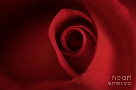 Crimson Red Photograph By Brooke Roby Fine Art America