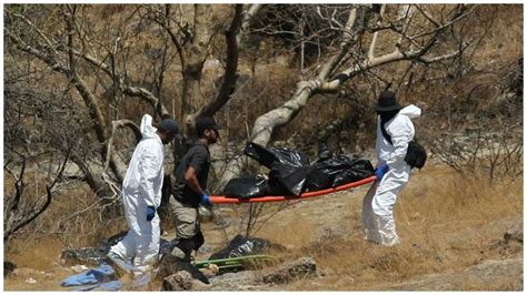 Missing Call Center Staff 45 Bags Of Human Remains Found In Search For