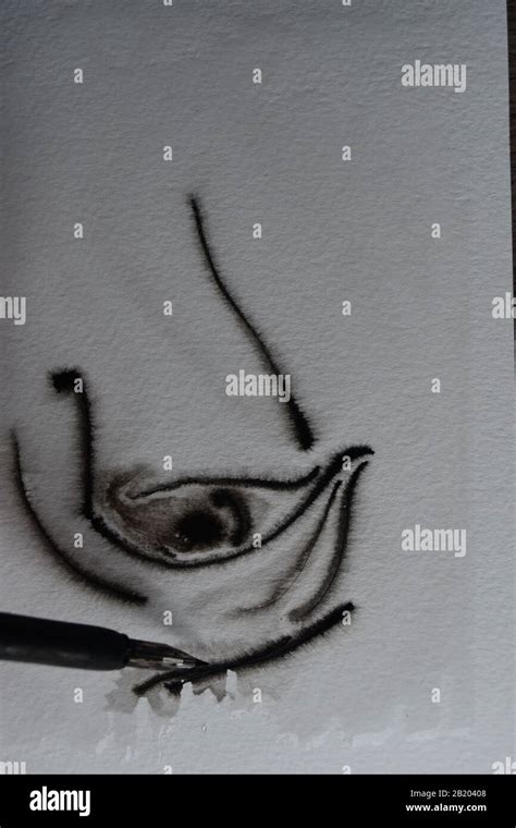Sequence Of Drawing With Dip Pen In India Ink Onto Wet Watercolour Paper With Ink Spreading