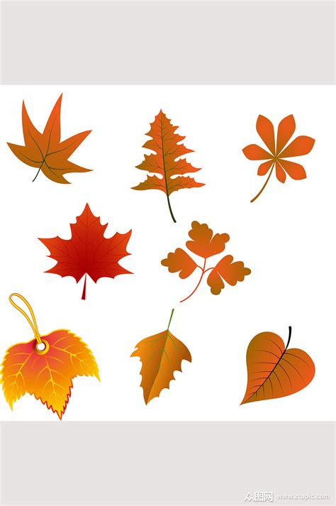 树叶打印图片树叶模板打印大山谷图库
