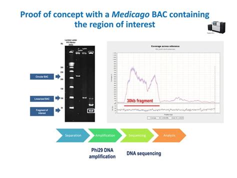 Toward A Better Understanding Of Plant Genome Structure Combining Ngs