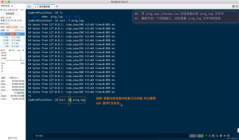 软件测试 —— Linux基础命令行软件测试linux常用命令 Csdn博客