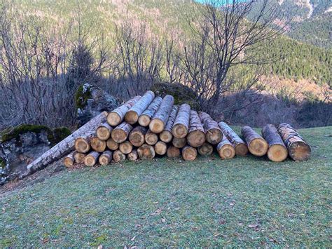 სსდ გარემოსდაცვითი ზედამხედველობის დეპარტამენტი