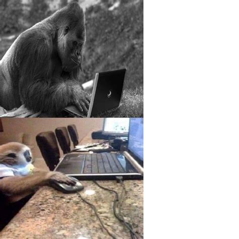 Create Meme Monkey For PC A Monkey With A Computer The Male Gorilla Pictures Meme