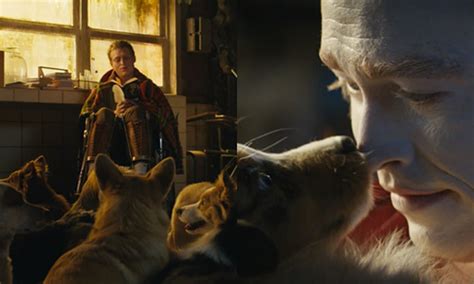 4년간 개 우리에 갇혀 자라난 소년 실화 결국… 네이트뷰