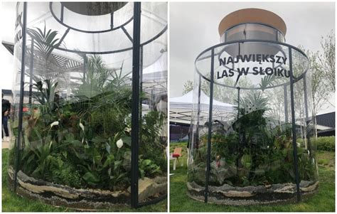 Largest Jar Terrarium Forest In A Jar Guinness World Records