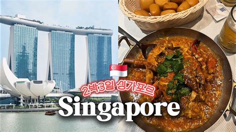 🇸🇬 싱가포르 여행 ️여긴 꼭 가보세요 ️ 마리나베이샌즈ㅣ가든스바이더베이🌴 Singapore Vlog 3 Youtube