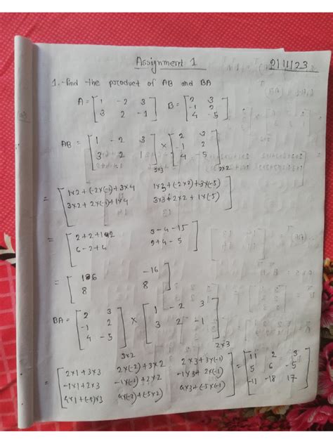 assigment 1 pdf