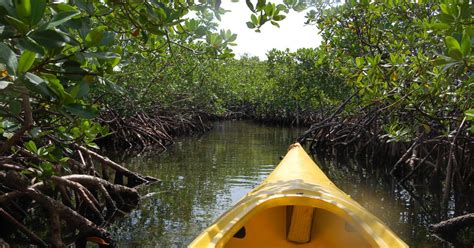 9 Public And Private Beaches In Key Largo Florida Keys Camping