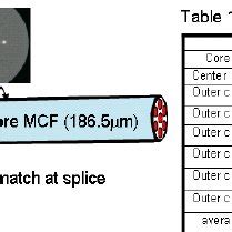 Schematic Diagram Of Tapered Multicore Fiber Connectors Download Scientific Diagram