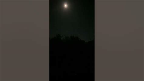 Пение соловья Youtube