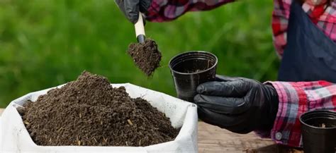 Unleash The Power Of Nature Organic Fertilizers For A Thriving Garden