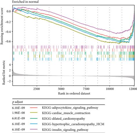The Functional Enrichment Analyses Of Degs A The Go Analyses