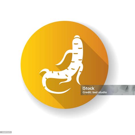 인삼 오렌지 플랫 디자인 긴 그림자 글리프 아이콘 허브 루트 흉터와 여드름에 대한 치유 구성 요소 중국 전통 치료 유기농 항산화제 실루엣 Rgb 컬러 일러스트레이션 0명에