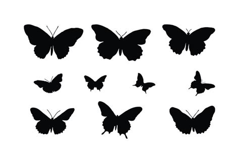 Butterfly Silhouette Collection Vector Templatemonster