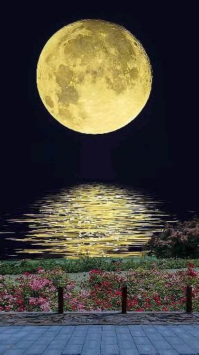 ปักพินโดย Liliana Vega ใน Moonlight 🍀 Video ภาพธรรมชาติ ทิวทัศน์