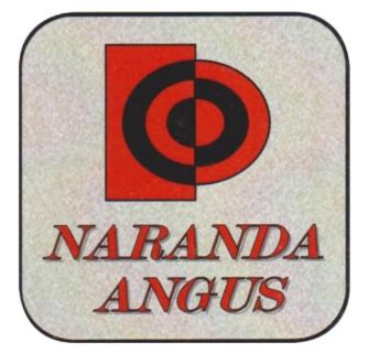 Lot 25 - NARANDA S91 | AuctionsPlus