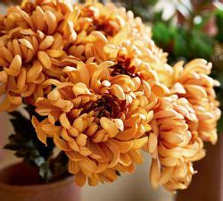 Faux Rust Mum Bundle Pottery Barn