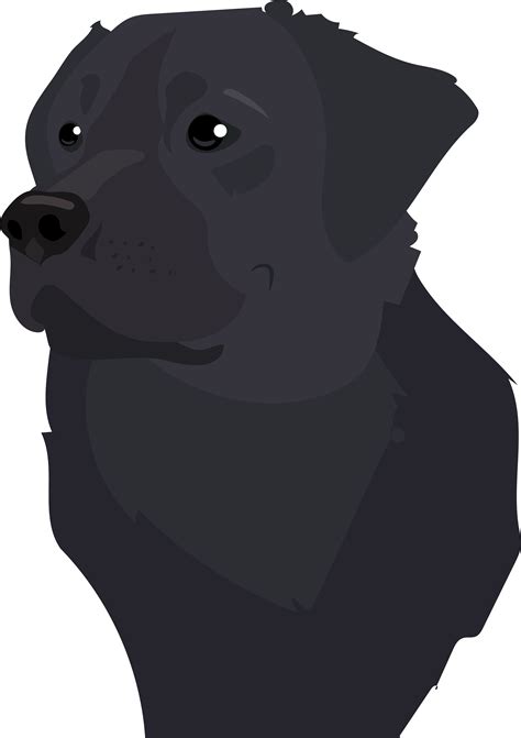 Black Lab Vector At Collection Of Black Lab Vector