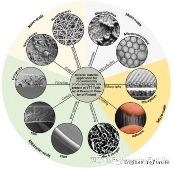 Chem Rev 综述基于蛋白质生物材料的分子设计和人工生产 知乎