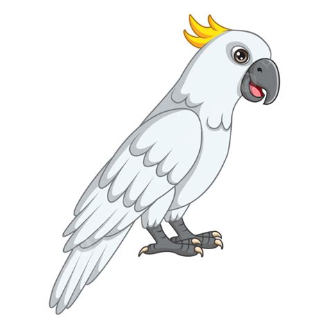 Gambar Burung Kakak Tua Terbang Kartun Gambar Sketsa Burung Keren